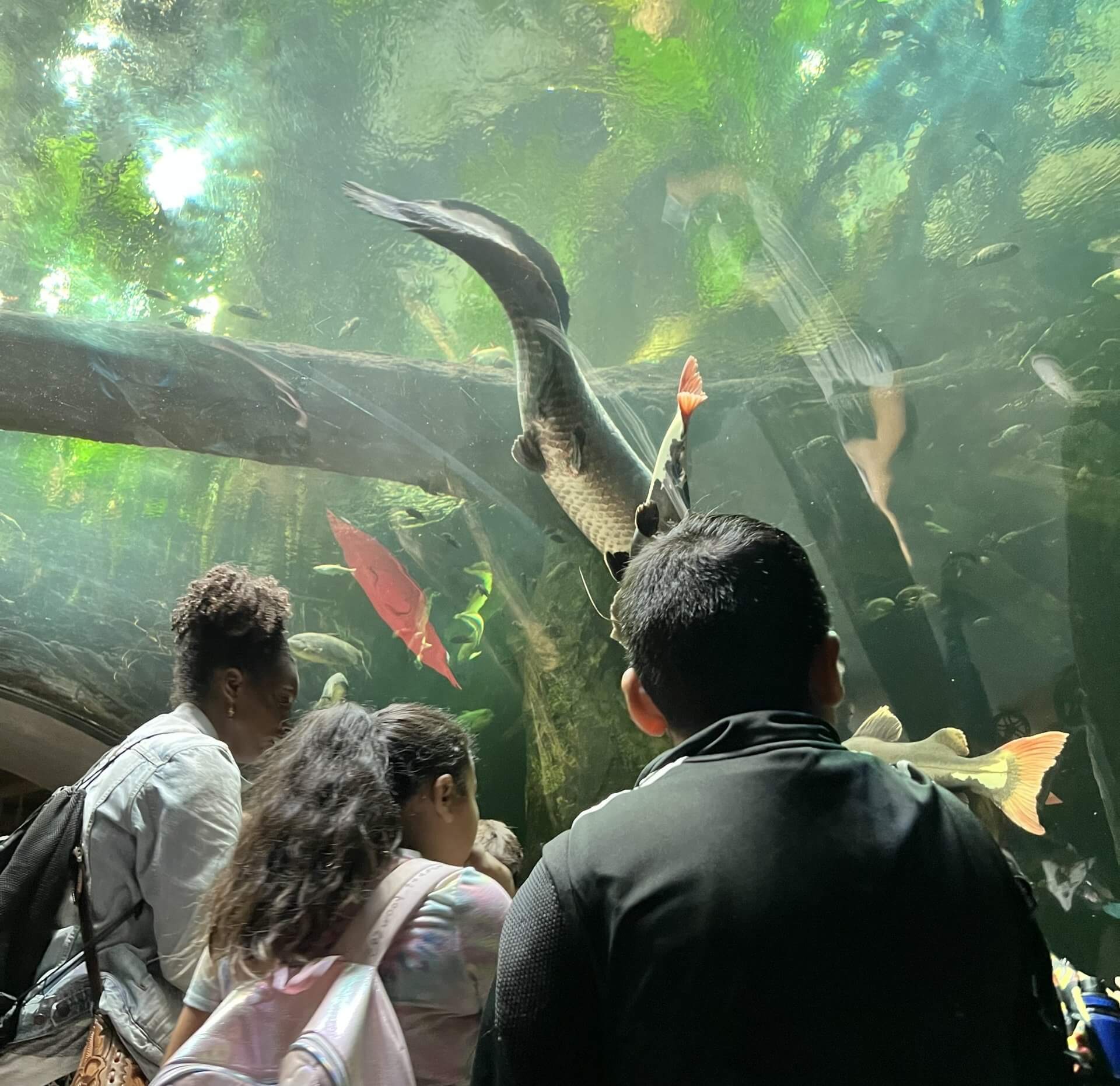 Excursion Grants Program – Philanthropic Ventures Foundation