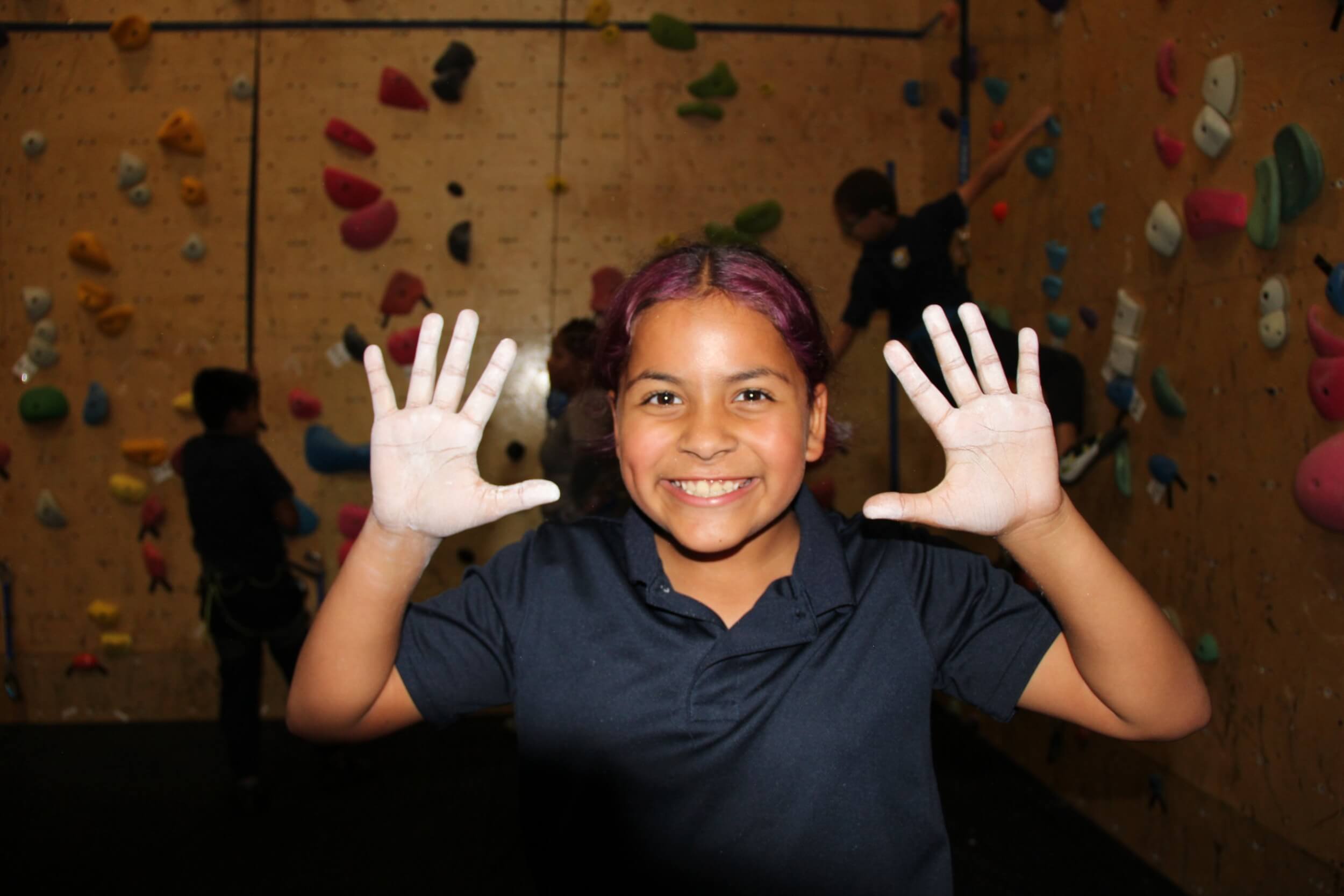 Climbing to New Heights with Forest and Tree – Philanthropic Ventures ...